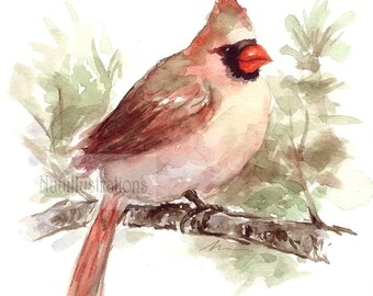 Female cardinal | Etsy