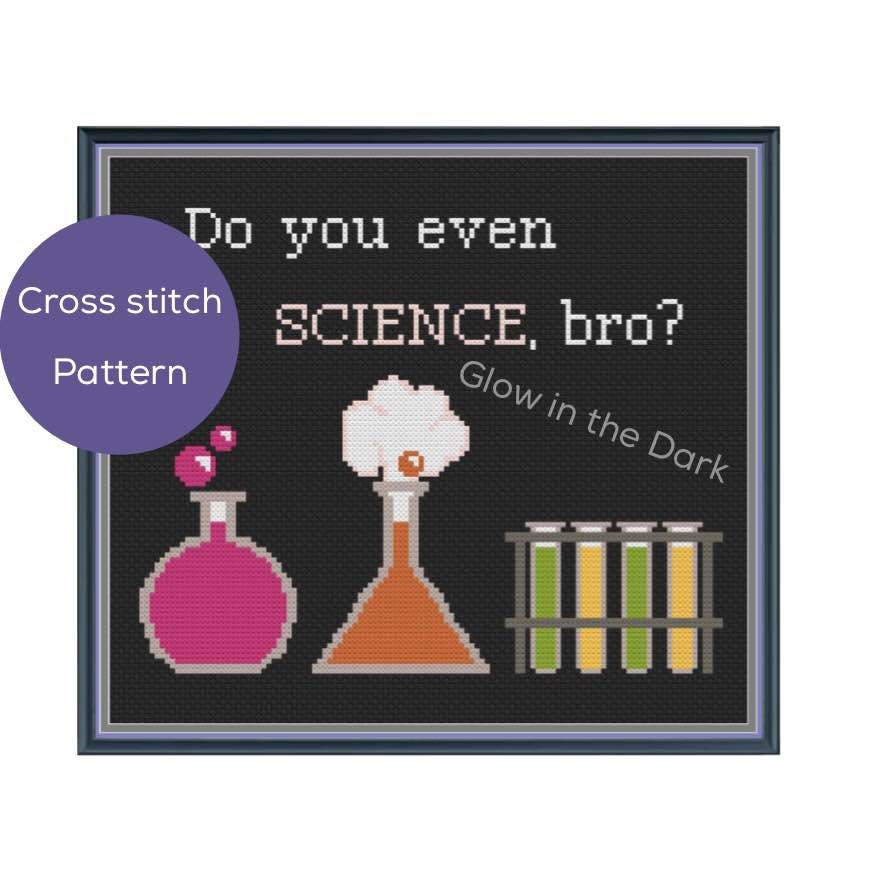 Do You Even Science Bro Cross Stitch Pattern