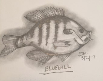 Bluegill art | Etsy