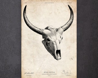 Bull skull print | Etsy