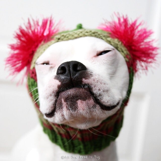 All You Need is Pug: Dog Hats Pug Hats and by AllYouNeedIsPugShop