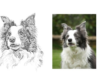 Pet line drawing | Etsy