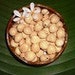 Loose Kukui Nuts Natural Collection Colors 50 nuts per