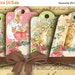 Peter Rabbit Hang/Gift Tags/Labels Beatrix Potter Bunny Cards