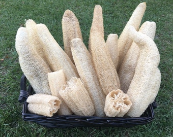 Unique loofah soap related items | Etsy