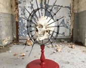 Displays for Anatomy by ScrapMetalStudios on Etsy