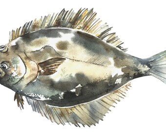 Halibut print | Etsy