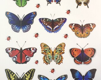 Realistic butterfly | Etsy