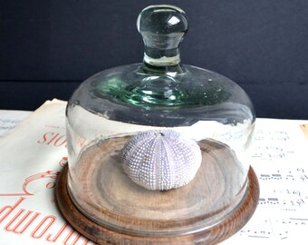 Glass cloche | Etsy