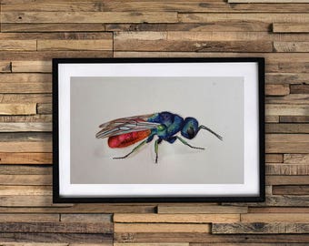 Watercolor insects | Etsy