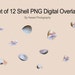 Shell Seashell PNG digital Overlay photoshop overlays