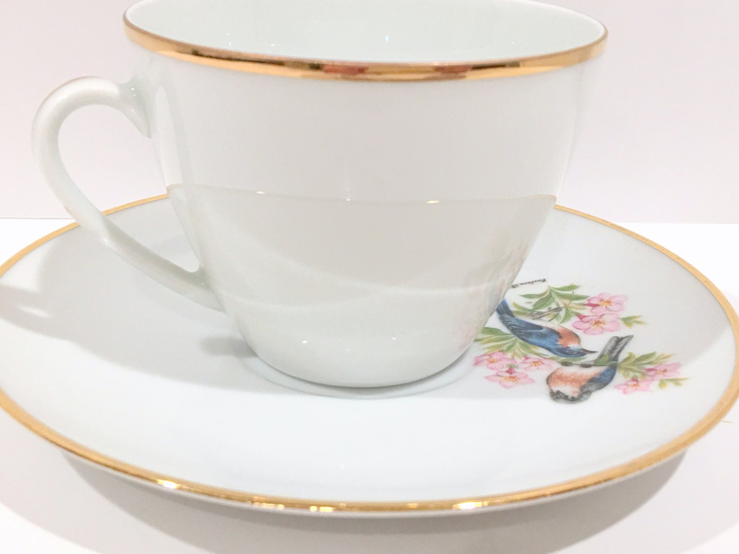 Bareuther Bavaria Tea Cup and Saucer, Bluebirds Tea Cup, German Tea ...