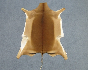 Springbok hide | Etsy