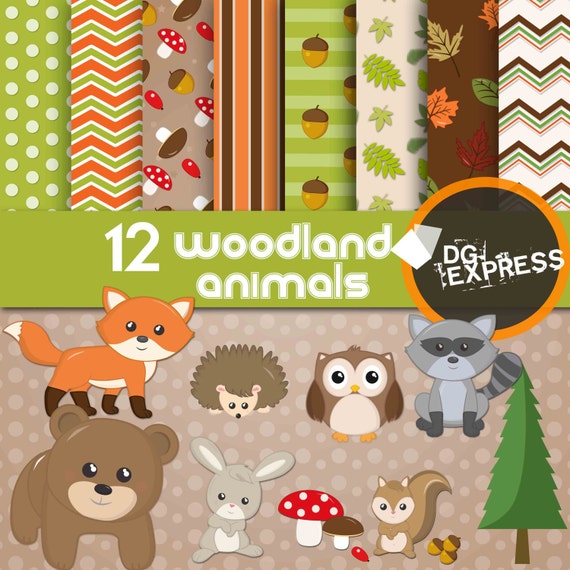 Woodland Animals Clipart & Digital Paper : FOREST