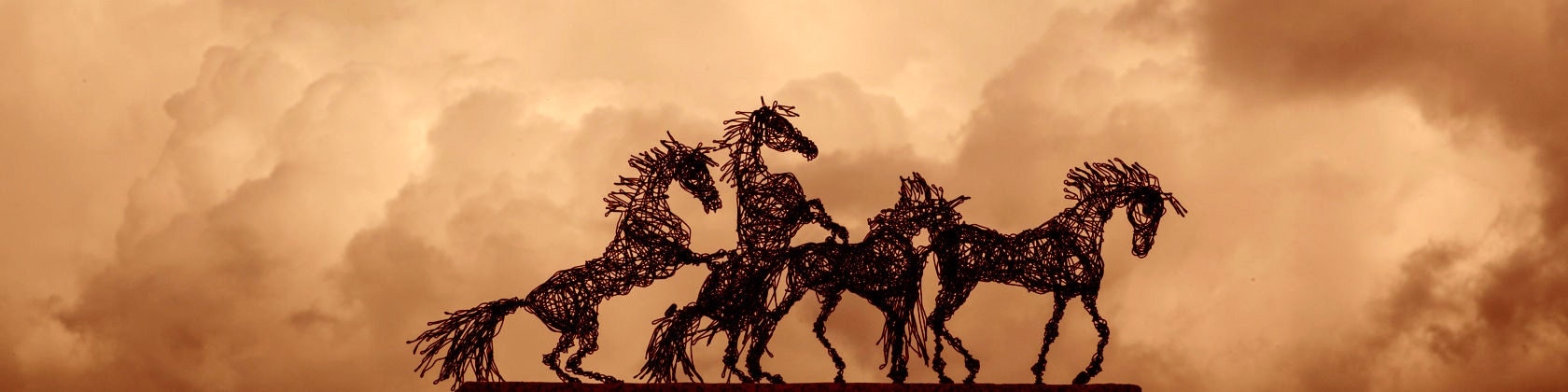 Welcome to my aerial joyful and delicate world by NirVenaArt