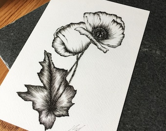 Poppy drawing | Etsy