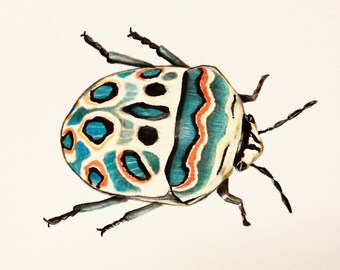 Bug drawing | Etsy