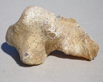 Snakeskin agate | Etsy