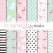 Flamingo Digital Paper Pink and Mint Flamingos background