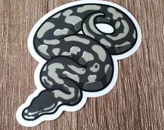 Ball python | Etsy