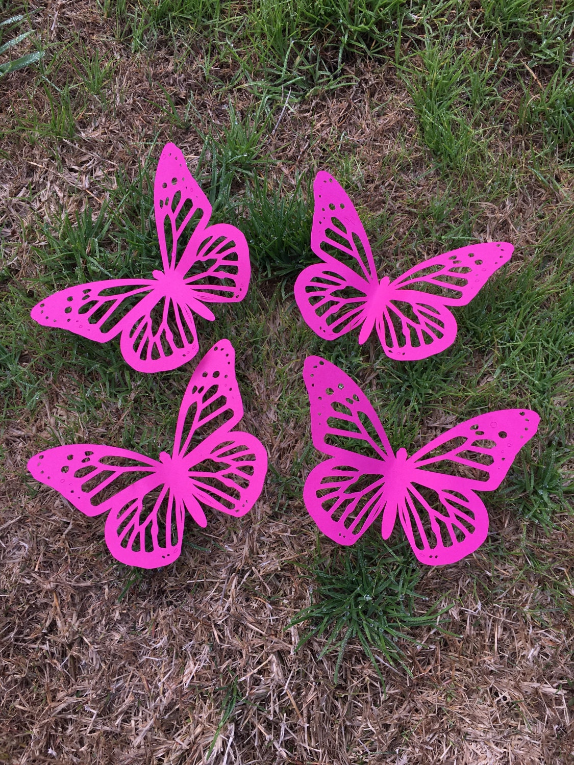 Butterfly Cutouts