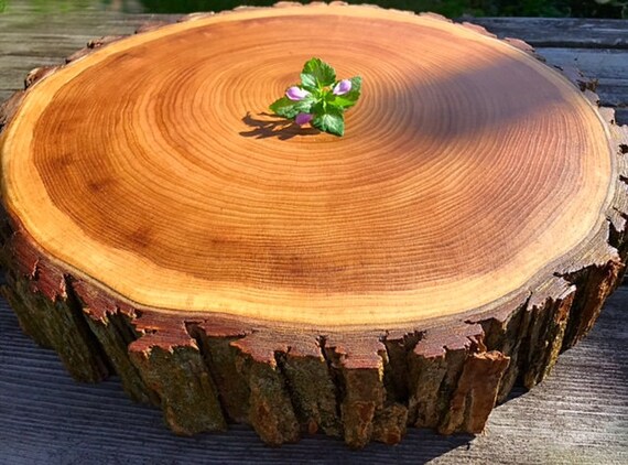 Stunning Wood Cake Stand Wooden Cake Stand Wood Slice Cake