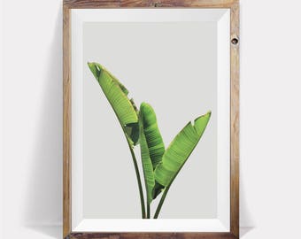 Banana leaf poster | Etsy