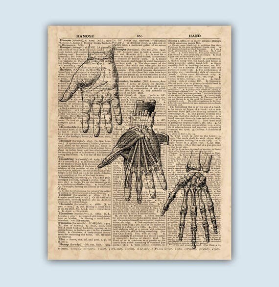 Hand Anatomy Print Human Hand Poster Medical Decor Hand