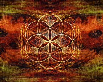 Wearable Art & Functional Fashion for conscious beings by AJJAYA