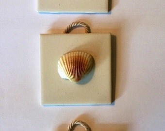 Sea shell tiles | Etsy