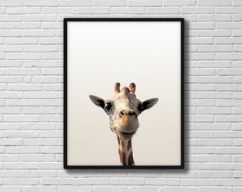 Giraffe poster | Etsy