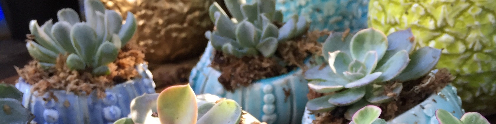 Handmade Ceramic Art by Ronald Shaw & Jeni by TheClawandTheSea