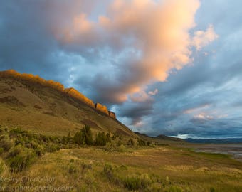 Central oregon | Etsy