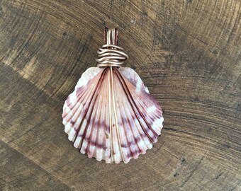 Items similar to small conch sea shell wire wrapped necklace on Etsy