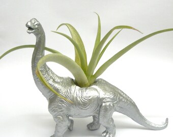 Tiestos y macetas | Etsy ES