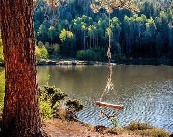 Rope swing | Etsy
