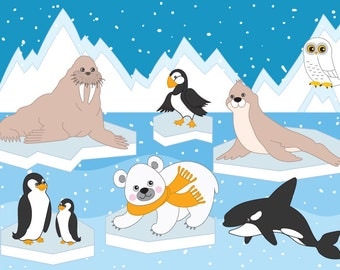 Arctic animal | Etsy