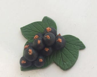 Black currant | Etsy