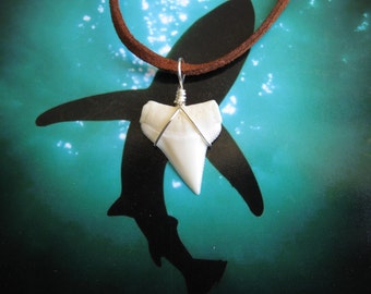 The Shark Tooth Shop by TheSharkToothShop on Etsy