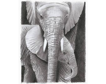 Elephant drawing | Etsy