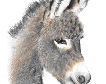 Cute donkey drawing | Etsy