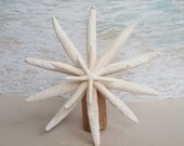 Starfish tree topper | Etsy