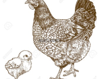 Hen and chicks print | Etsy