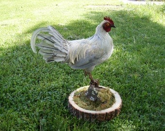 Taxidermy chicken | Etsy