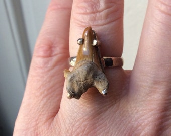 Shark tooth ring | Etsy
