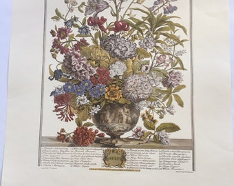 Robert furber | Etsy