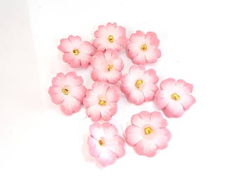 Wild prairie rose | Etsy