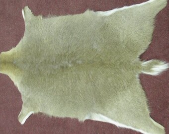 Antelope skin | Etsy