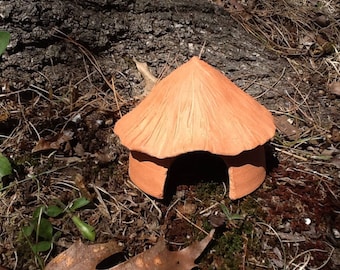 20 Tall Fernleaf Fiddleneck Seeds-1161B