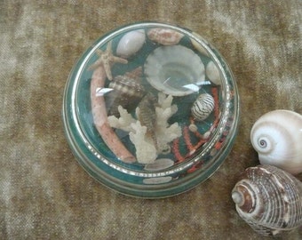 Coral paperweight | Etsy